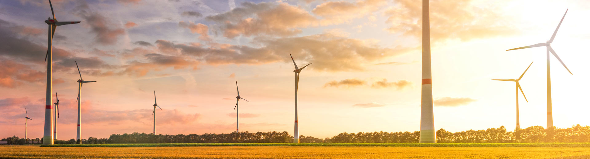 Video surveillance wind farms | LivEye protection